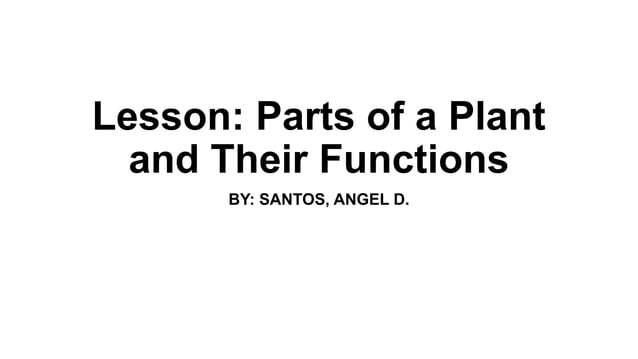 Parts of a Plant and Their Functions.pptx