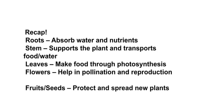 Parts of a Plant and Their Functions.pptx