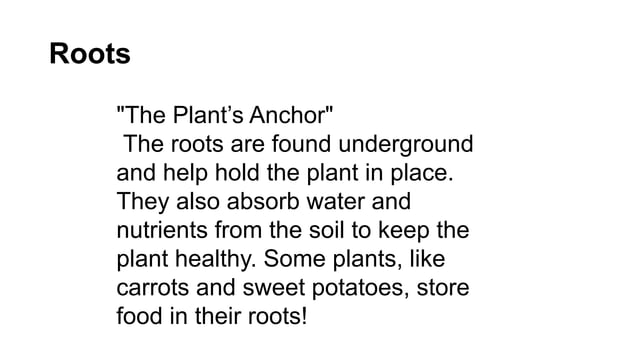 Parts of a Plant and Their Functions.pptx