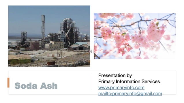 Soda ash Project database | PDF