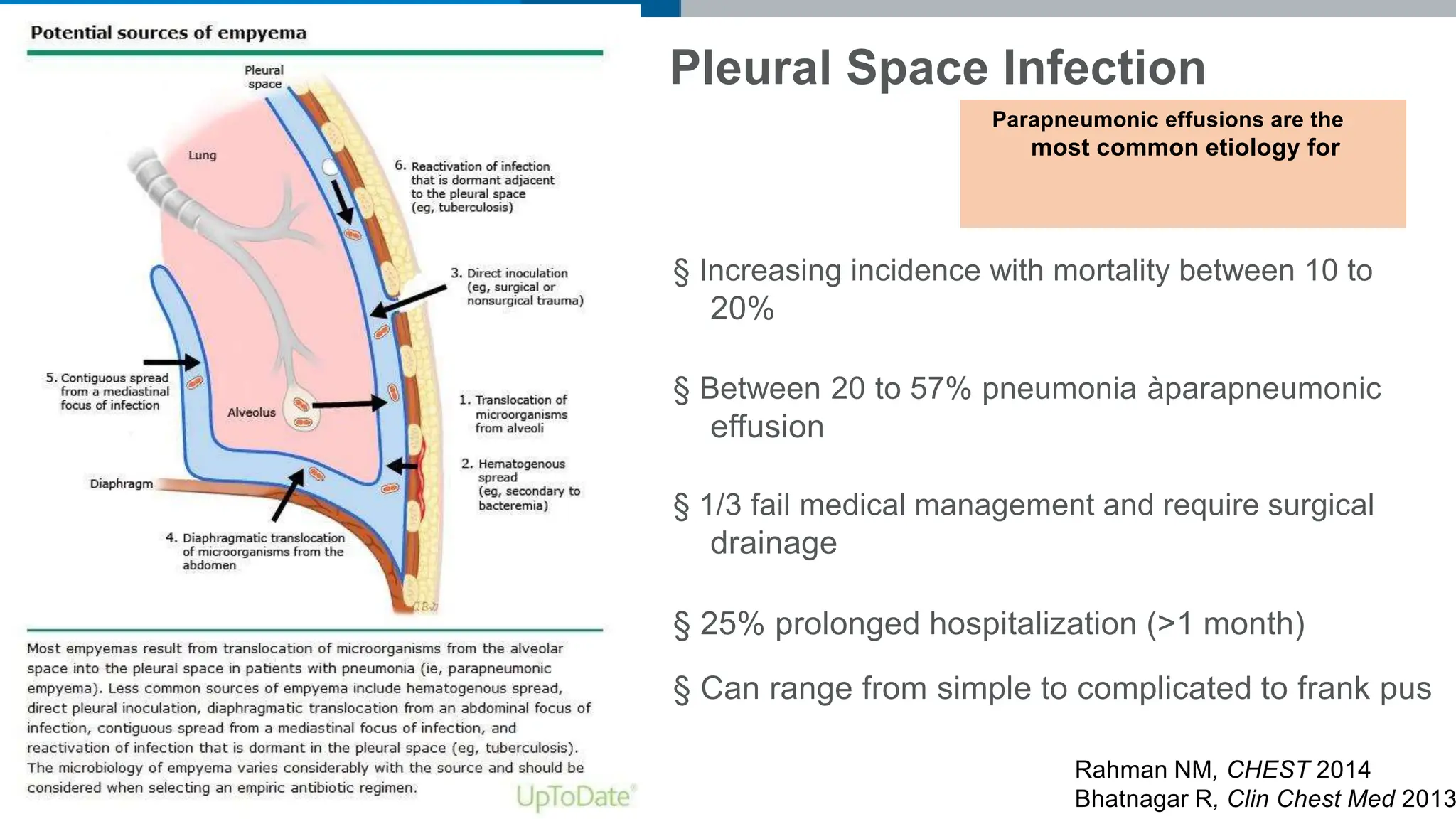 Pleural disease and management part two.pptx