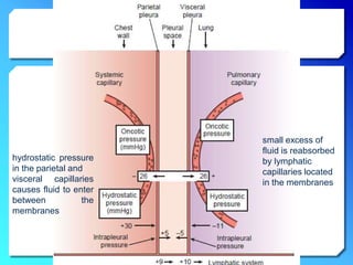 Body fluids.pdf