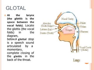 sodapdf-converted (1).pptx