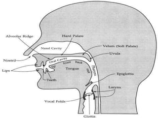 sodapdf-converted (1).pptx