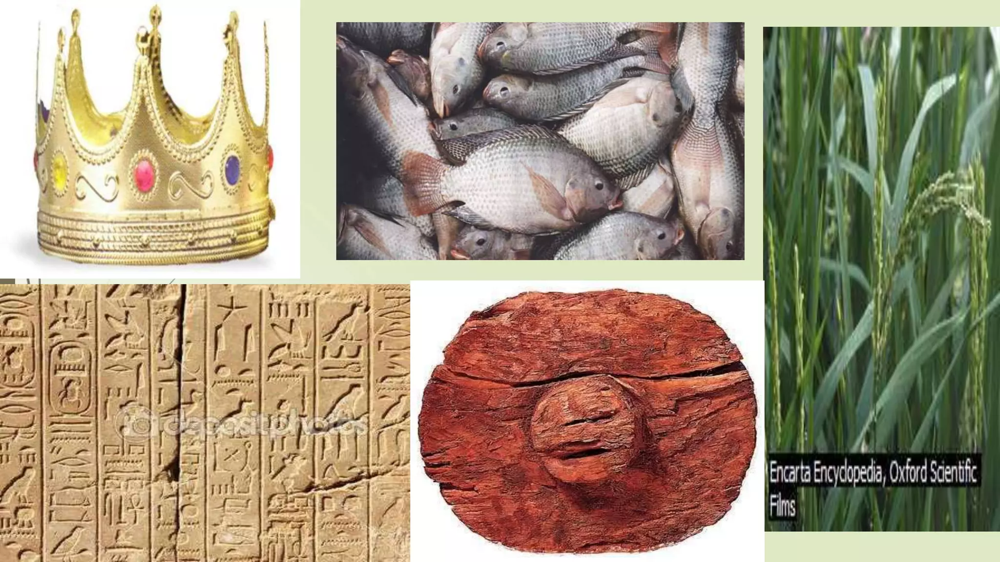 sodapdf-converted (1).pptx