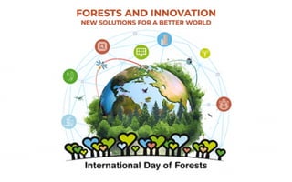 Forests and innovation: New solutions for a better world. | PDF