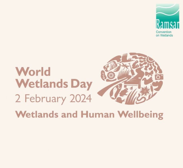 Wetlands and human well-being. WORLD WETLANDS DAY 2024 | PDF