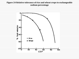 sodic-soil-formation-reclamation.ppt