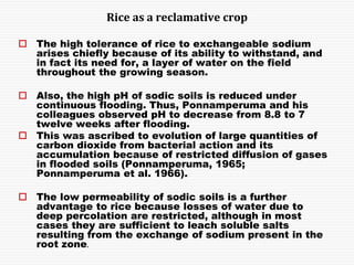 sodic-soil-formation-reclamation.ppt