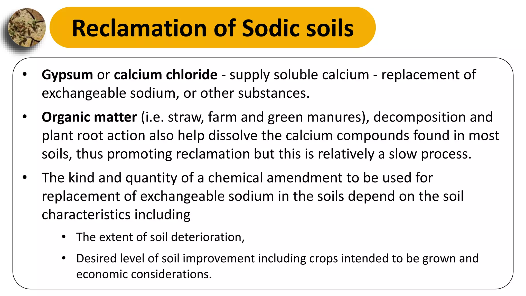 SODIC SOILS.pptx