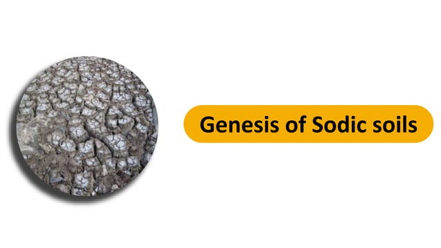 SODIC SOILS.pptx