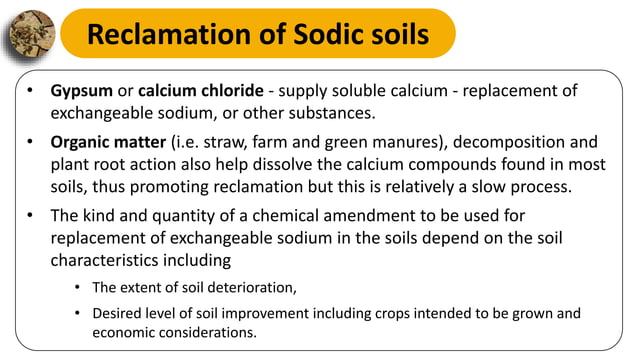 SODIC SOILS.pptx