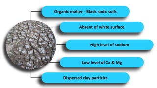 SODIC SOILS.pptx