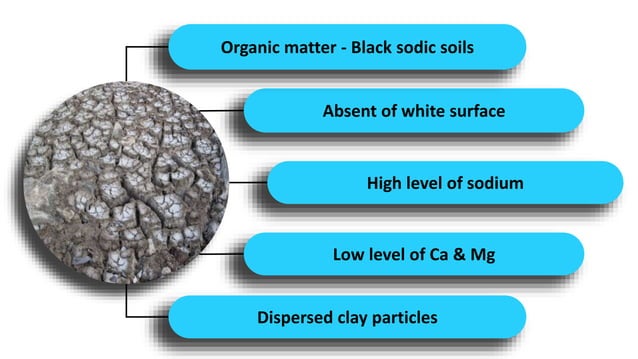 SODIC SOILS.pptx