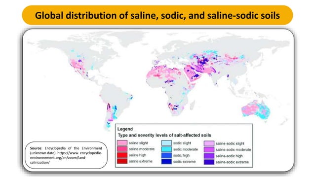 SODIC SOILS.pptx