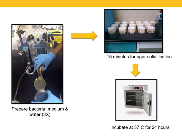 SODIS Method | PPT