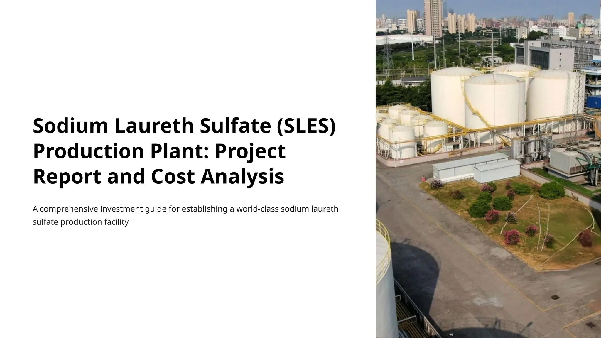 Sodium Laureth Sulfate Production Plant Project Report | PPTX