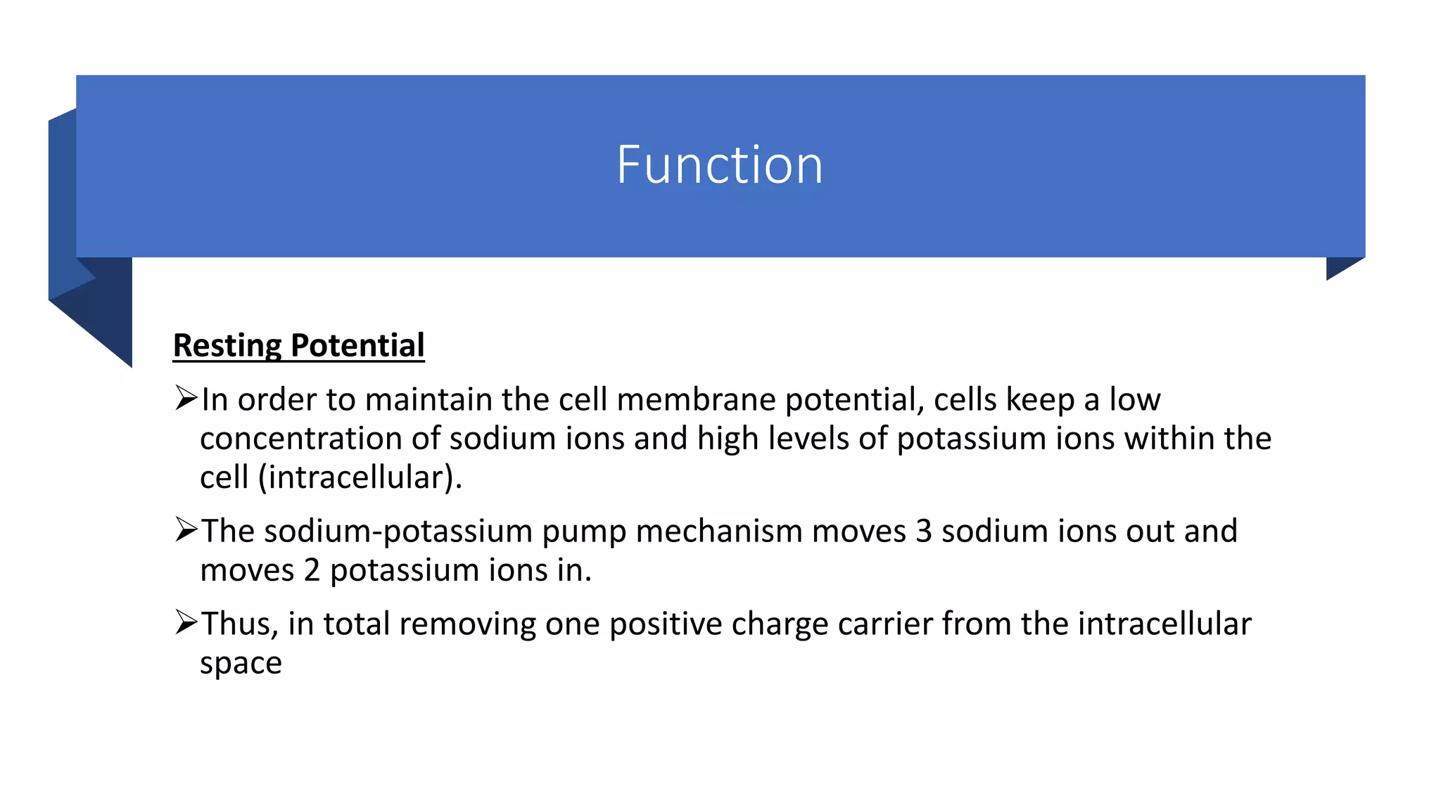 Sodium potassium pump | PDF