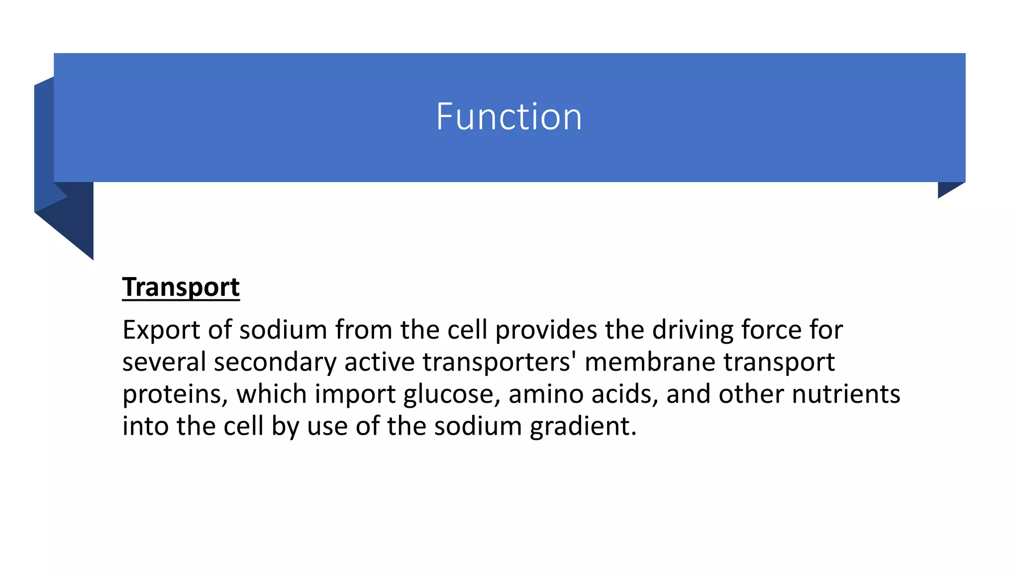 Sodium potassium pump | PDF