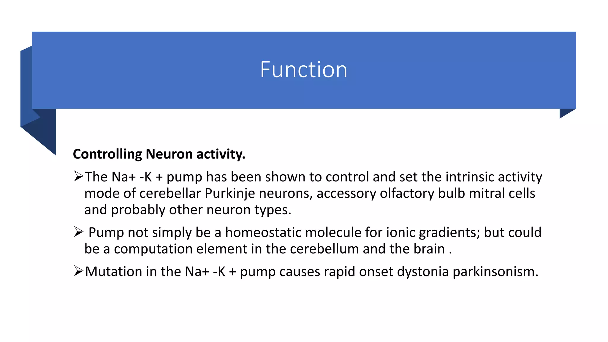 Sodium potassium pump | PDF