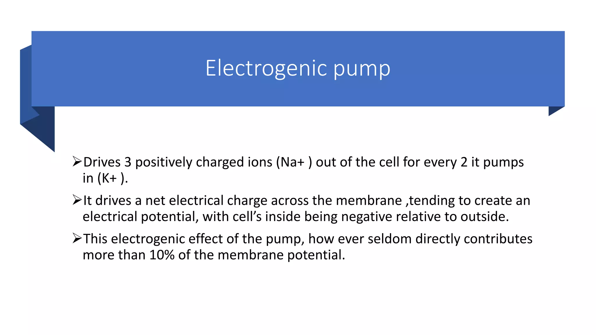 Sodium potassium pump | PDF