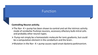 Sodium potassium pump | PDF