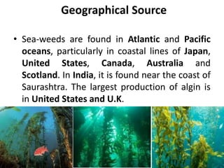 Sodium Alginate - A marine Source Purified Carbohydrates | PPT