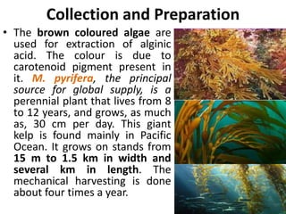 Sodium Alginate - A marine Source Purified Carbohydrates | PPT