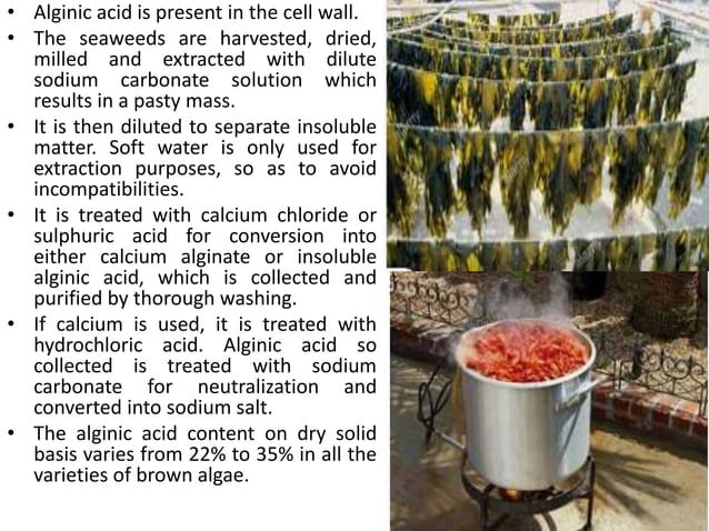 Sodium Alginate - A marine Source Purified Carbohydrates | PPT