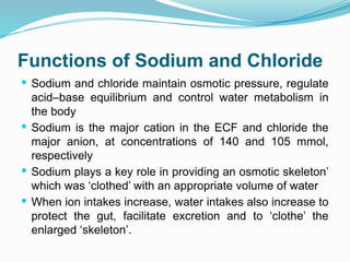 Sodium and Chlorine in human body and its nutrient needs | PPT