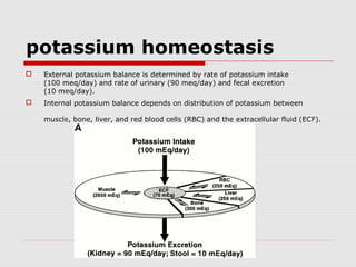 Sodium And Potassium Balance