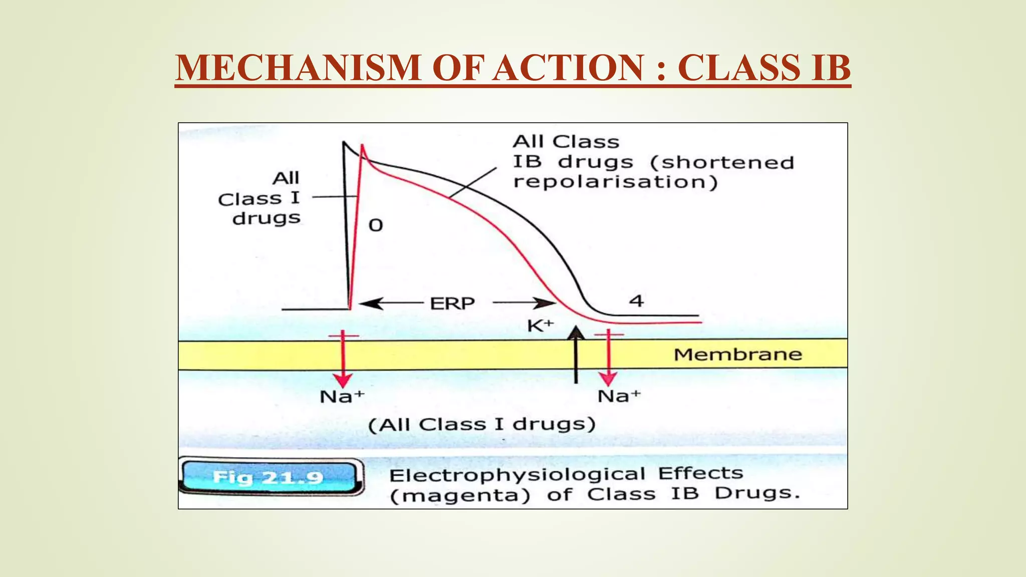 Sodium channel modulator | PPTX