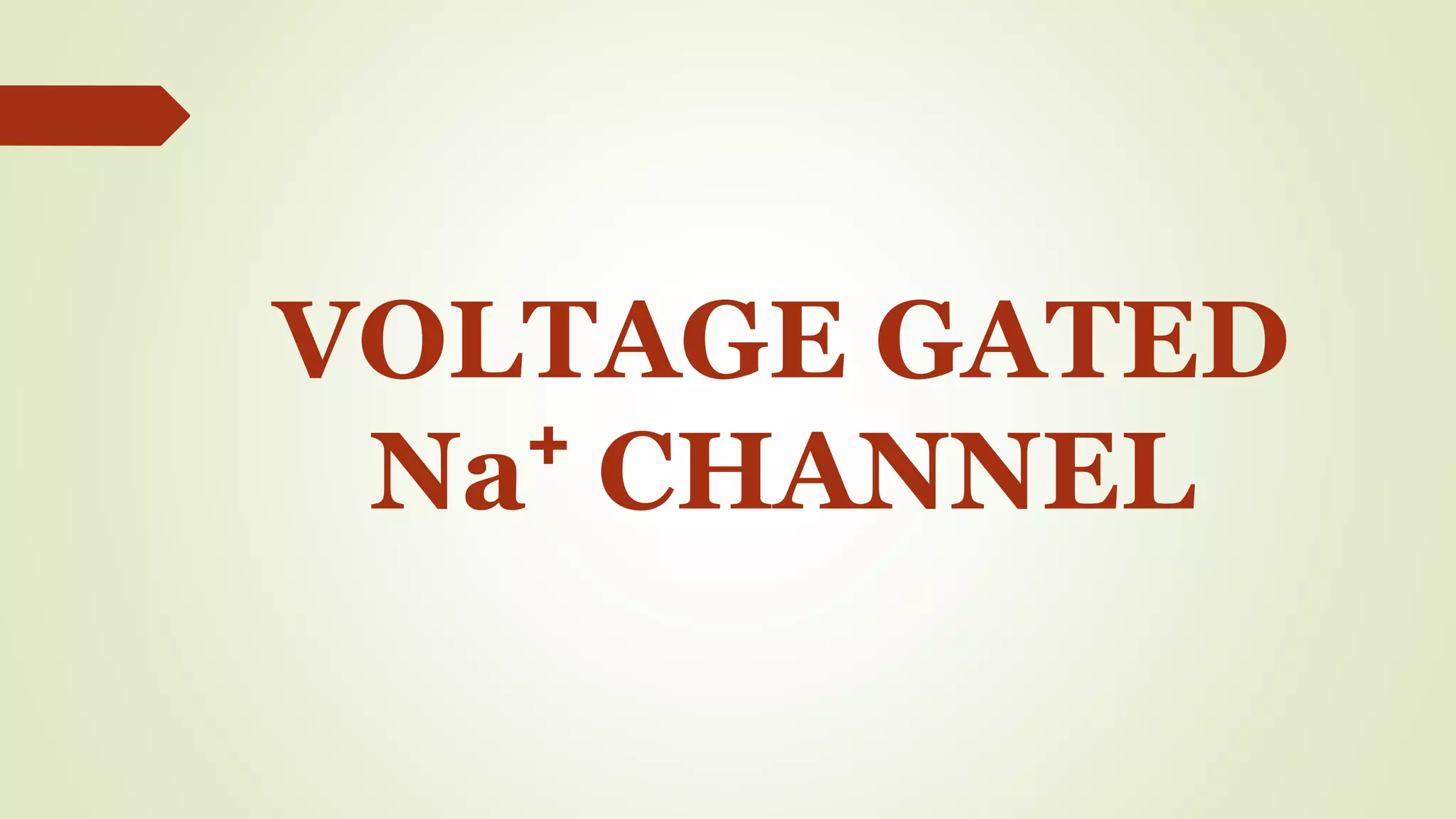 Sodium channel modulator | PPTX