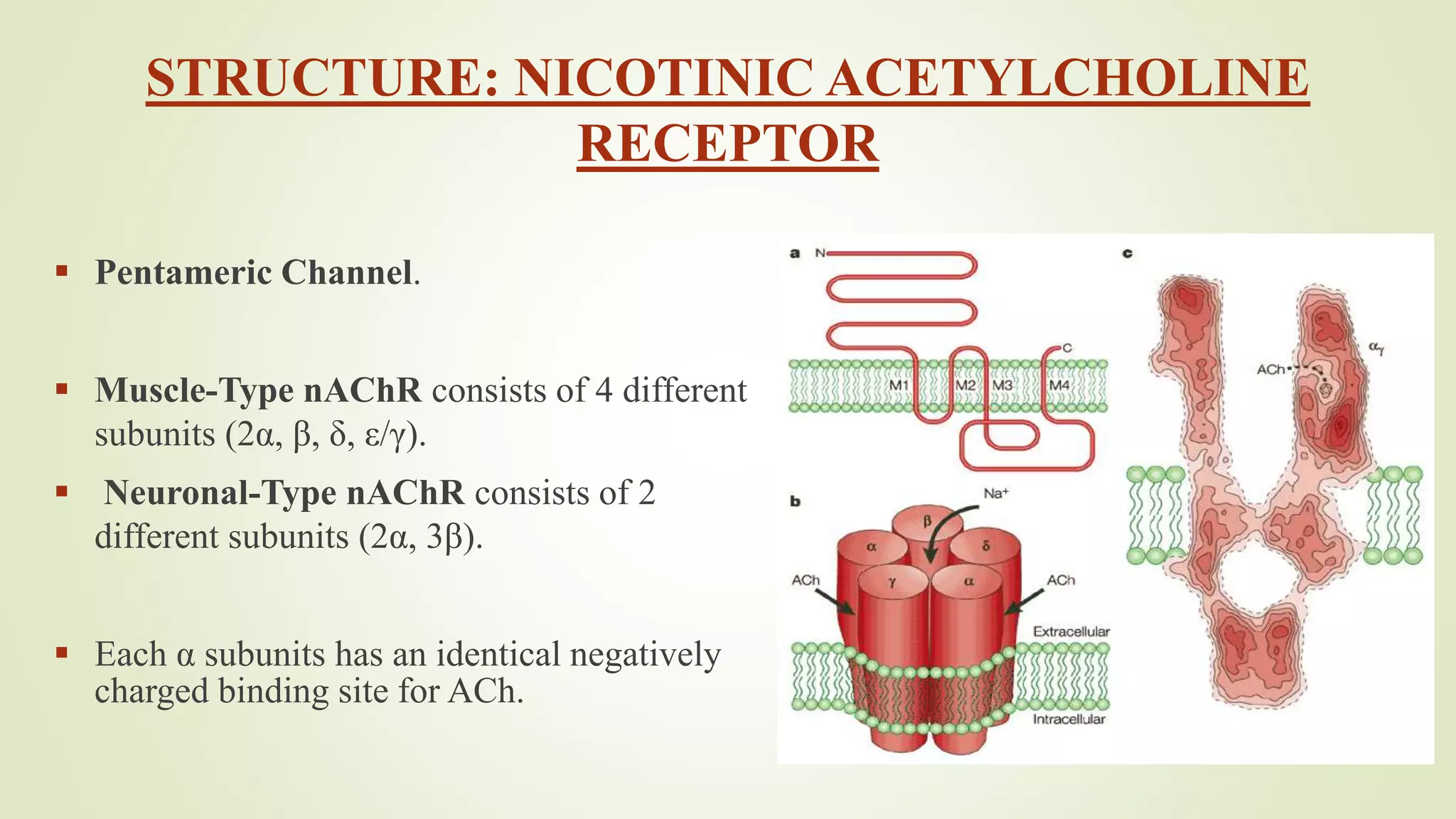 Sodium channel modulator | PPTX