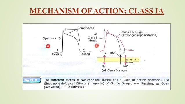 Sodium channel modulator | PPTX