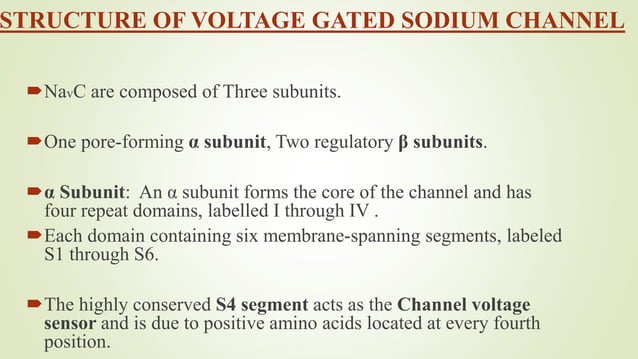 Sodium channel modulator | PPTX