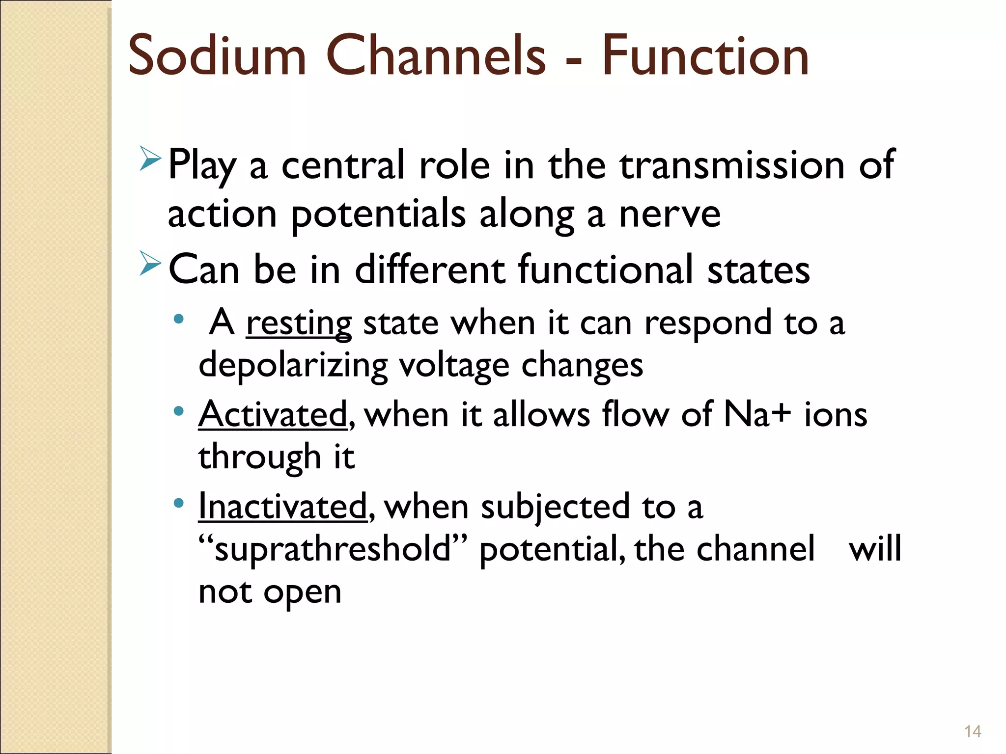 Sodium channel modulators | PPT
