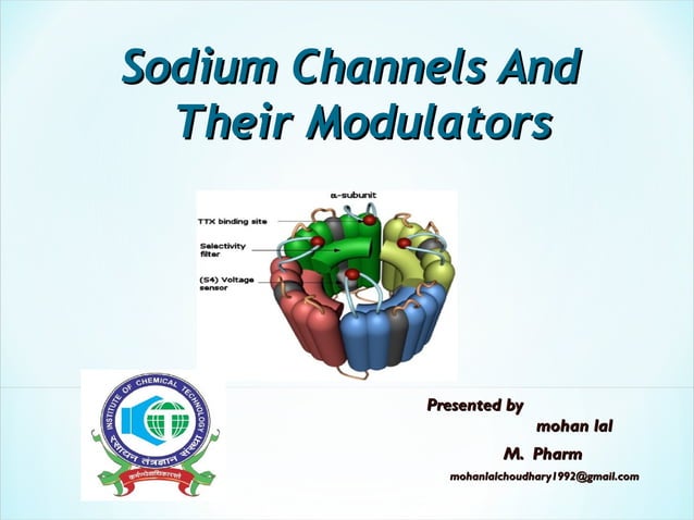 Sodium channel modulators | PPT | Brain and Nervous System Disorders ...