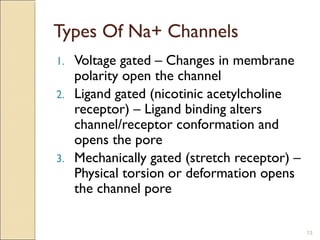 Sodium channel modulators | PPT