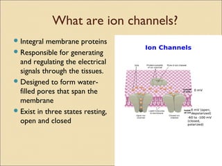 Sodium channel modulators | PPT