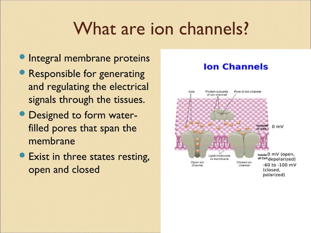 Sodium channel modulators | PPT | Brain and Nervous System Disorders ...