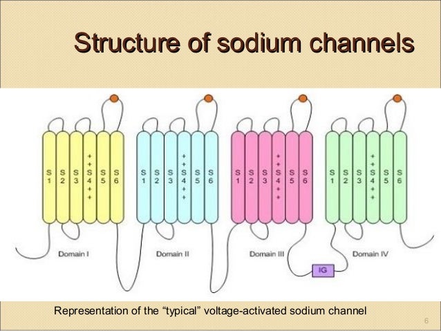 Sodium channel modulators