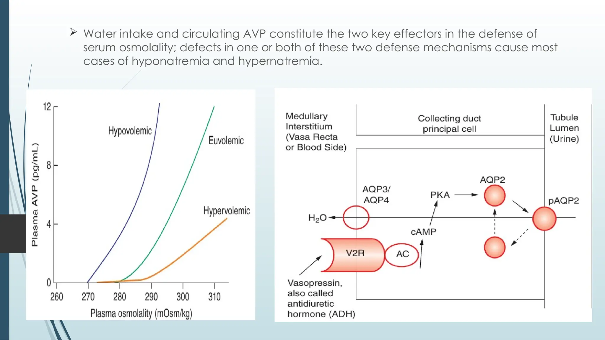 sodium disorders hypo and hypernatremia.pptx