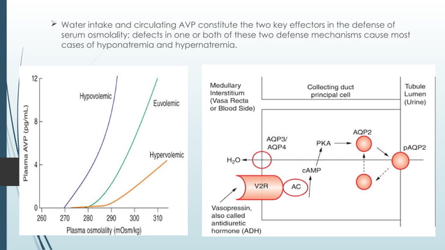 sodium disorders hypo and hypernatremia.pptx