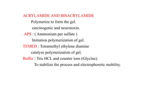 SODIUM DODECYL SULPHATE POLY ACRYLAMIDE GEL ELECTROPHORESIS. | PPT
