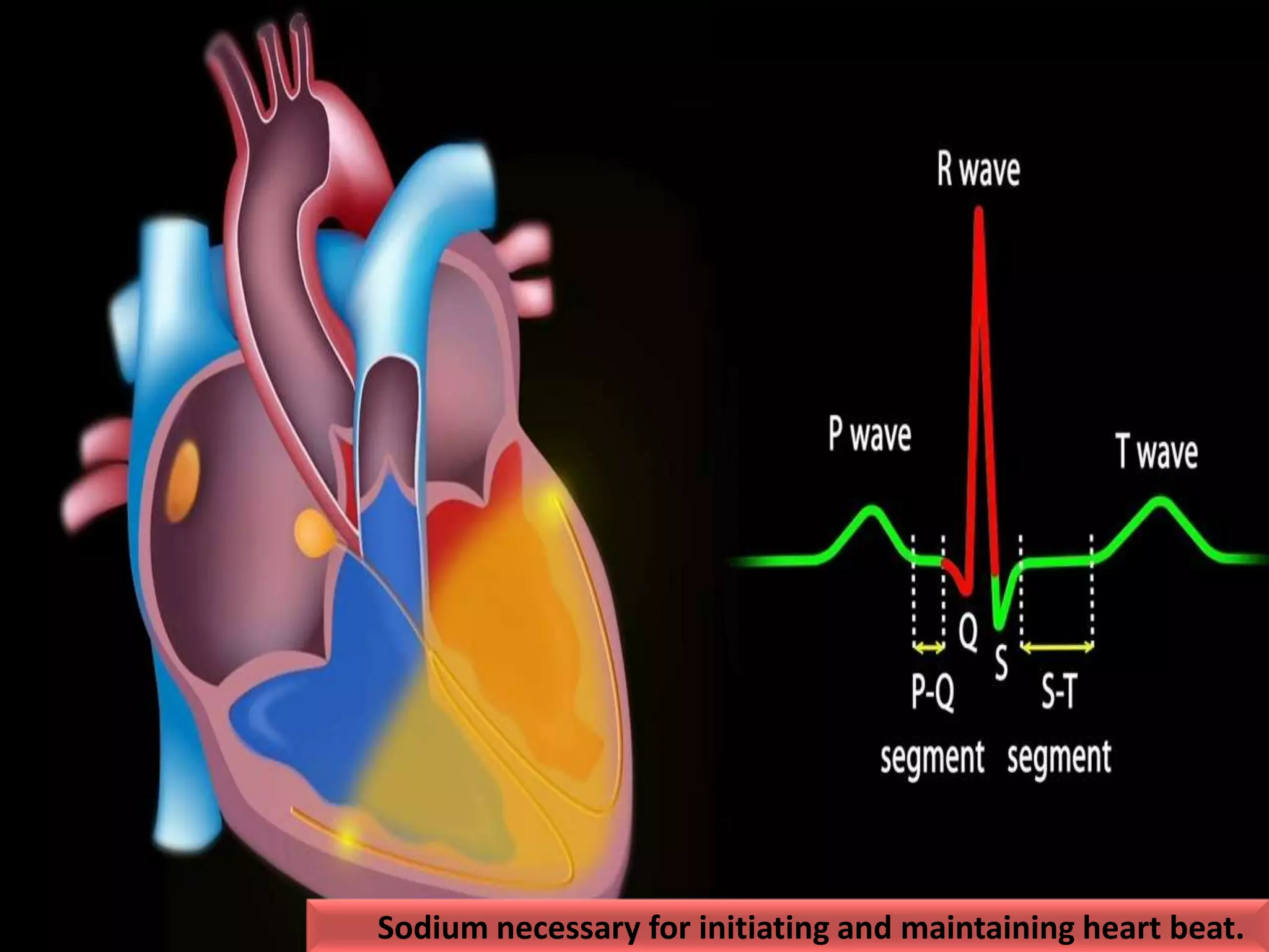 sodium and its medical importance for medical students | PPTX