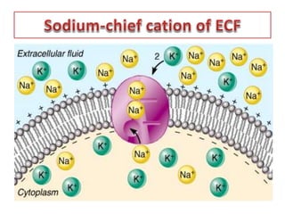 sodium and its medical importance for medical students | PPTX