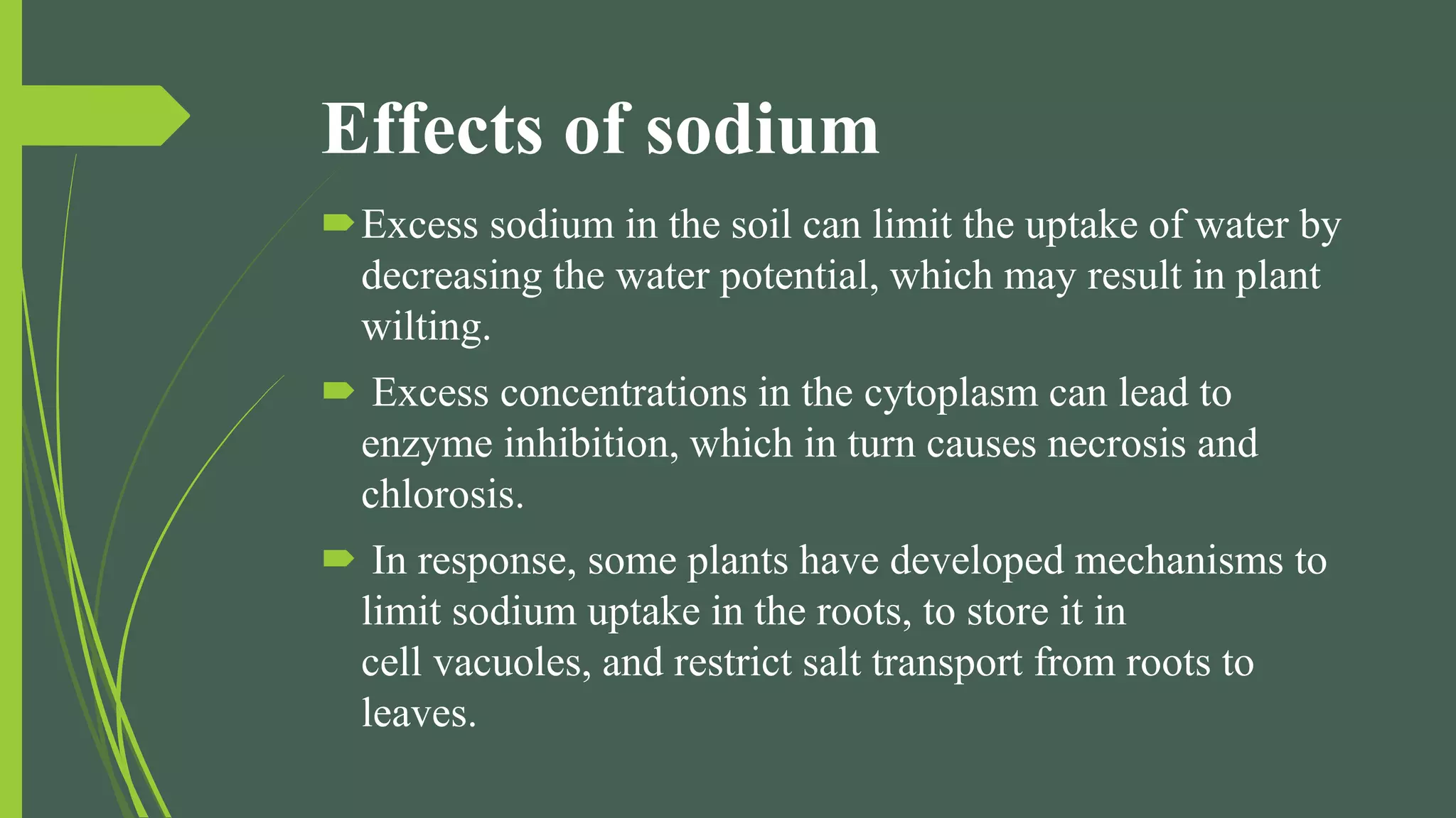 Sodium & its role in plant | PPTX