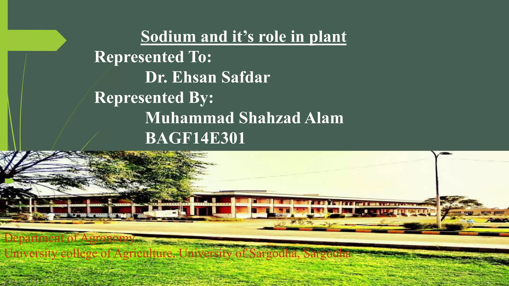 Sodium & its role in plant | PPTX