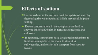 Sodium & its role in plant | PPTX